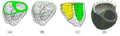 Dirichlet And Neumann Boundary Conditions A The Vertical Download Scientific Diagram