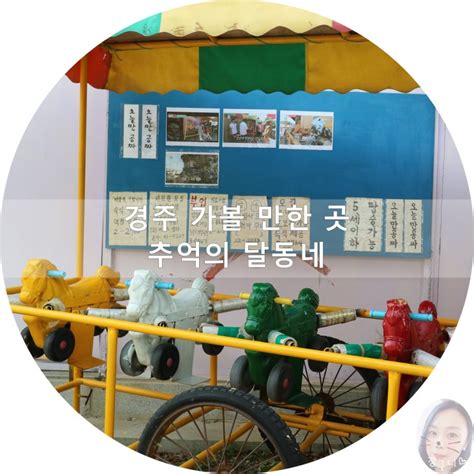 경주 가볼만한곳추억의 달동네네이버 예약시 입장료 성인 6천원 네이버 블로그