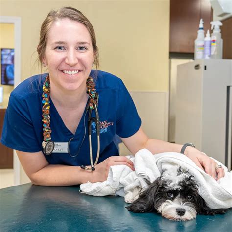 Karly Shimerka Lvt B S Oak Forest Veterinary Hospital