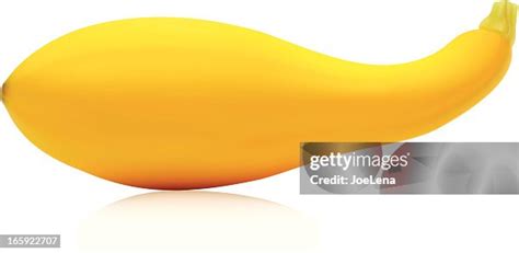 Squash High Res Vector Graphic Getty Images