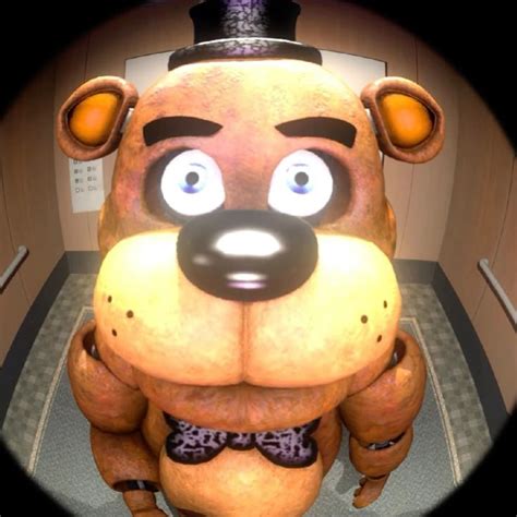 Yo Freddy Is Looking At You🐻👍🏻