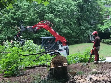 Downed Tree Limb Removal