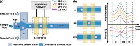 Microfluidic Impedance Flow Cytometer Leveraging Virtual Constriction