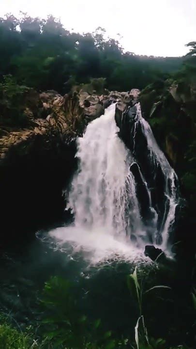දූවිලි ඇල්ල 🏞️😍 Shorts Youtube