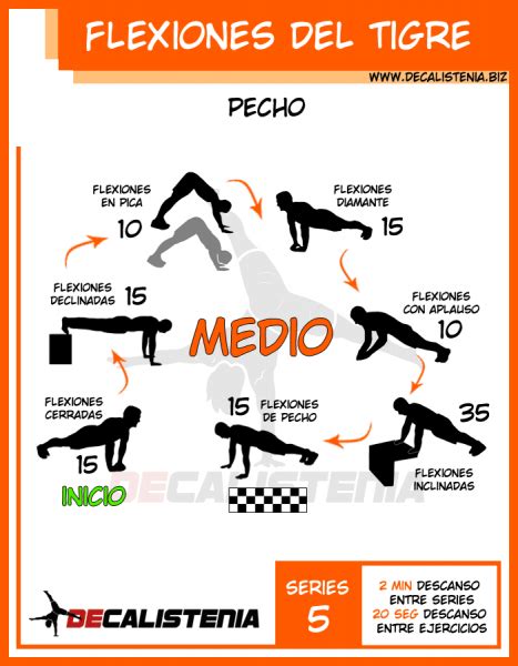 Ejercicio En Casa Rutina Principiantes