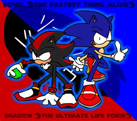 Sonic N Shadow By Eddaheadng On Newgrounds