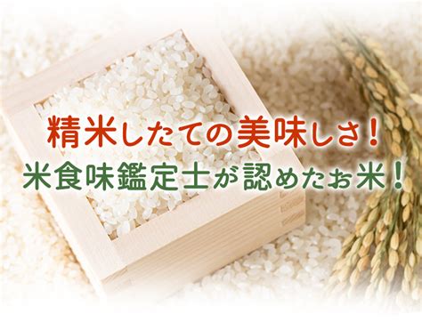 【楽天市場】ミルキークイーン10kg（5kg×2袋） 送料無料こだわりのお米令和5年福井県産 検査一等米米・食味鑑定士認定米：発芽玄米のふくい