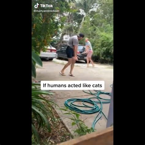 Hilarious Tik Toks For Aussies Australia Australia Hilarious Tik