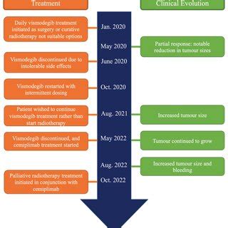 Timeline Of Clinical Evolution And Treatment BCC Basal Cell Carcinoma Download Scientific