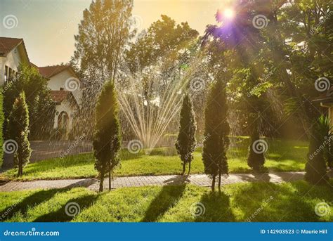 Watering The Grass 2 Stock Image Image Of Ground Fore 142903523