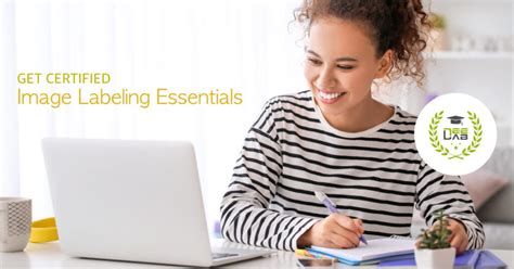 Deelab Academy Data Annotation Training And Certification