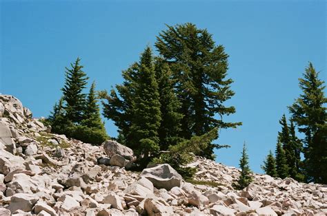 Quick Tour At Lassen Volcanic National Park Wilsons Blog
