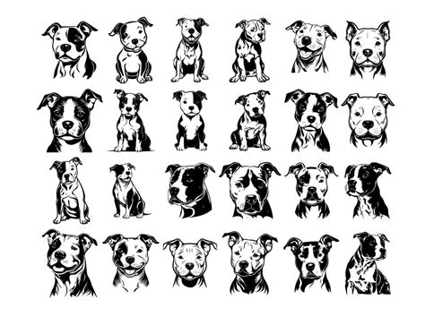 Pitbull Svg Pitbull Clipart Pitbull Svg Files For Cricut Pitbull