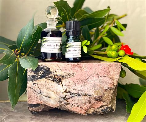 Jamaican Bay Essential Oil Bay Rum Pimenta Racemosa Jamaica Etsy