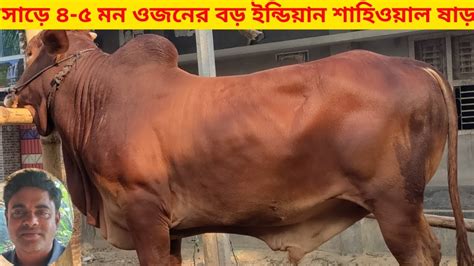১০০ নেপালী গীর ও মন জুড়ানো কিছু সেরা কালেকশন।রাজশাহী সিটি হাট আপডেট