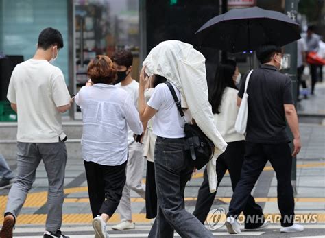 내일 중부·전라 빗방울모레부터 천둥·번개 동반 비 나무뉴스