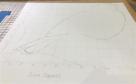 Drawing Scaling Up An Image Using A Grid Jane Gadsby S Talks You Through The Process