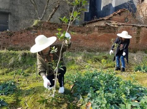林业管理永远在路上 企业官网