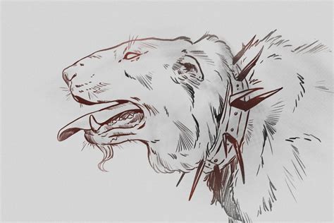 Brooklyn My Ball Python Tattoo Design I Made For Fun Probably Gonna