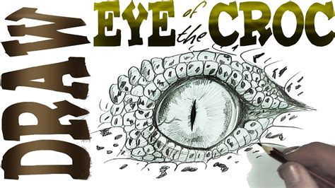 Crocodile Eye Drawing