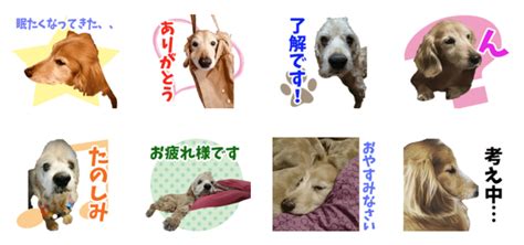 ヴィーチェちゃんとロイスちゃんのオリジナルLINEスタンプ制作 Hapi Sta ハピスタ LINEスタンプ制作作成代行サービス