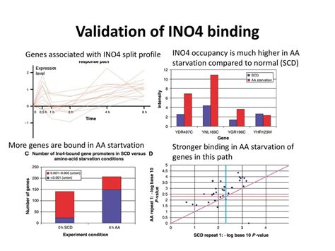 Input Output Hmms For Modeling Network Dynamics Ppt Download