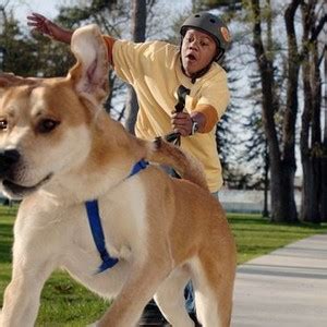 Life Is Ruff Rotten Tomatoes
