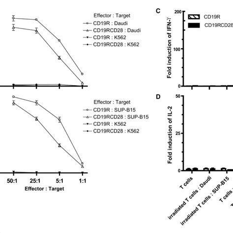 Cd19 Specific Killing Of Tumor Cells And Cytokine Production By Car T