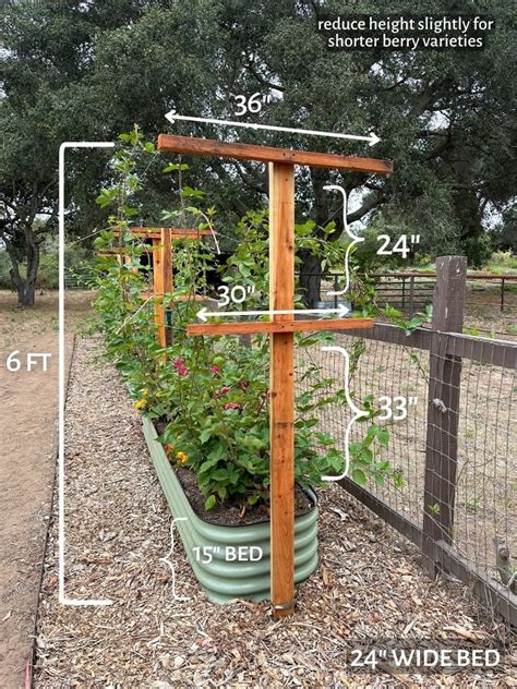 Raspberry Trellis Systems Raspberry Trellis System Tunneltech Ca