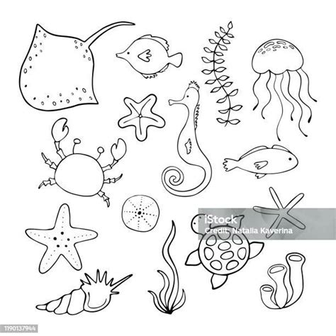 Ensemble Danimaux Marins De Dessin Animé Sur Un Fond Blanc Vecteurs