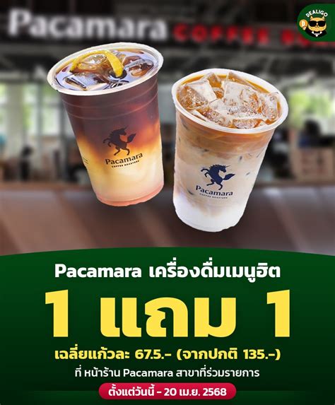 Dealigo 🥤 เสิร์ฟความสดชื่น Pacamara ซื้อ 1 แถม 1 เฉลี่ยแก้วละ 67 5 เท่านั้นนน 🥳 Pacamara