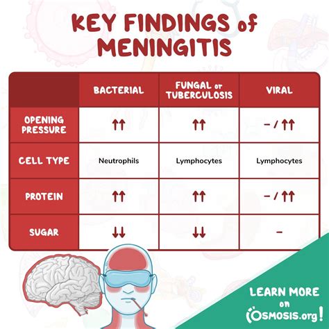 Curbsiders Meningitis At Renato Shryock Blog