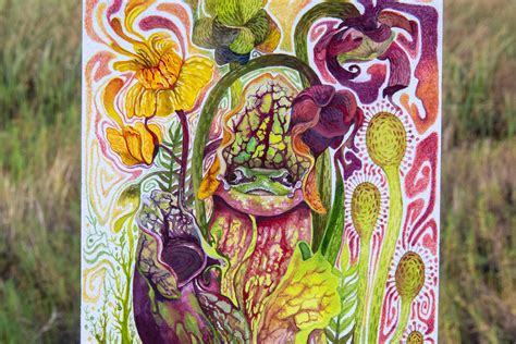 Pine Barrens Tree Frog Art Print Carnivorous Plant Botanical