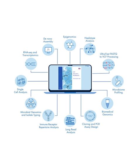 Qiagen Clc Workbench Premium Bioinformatics Software Qiagen Digital Insights