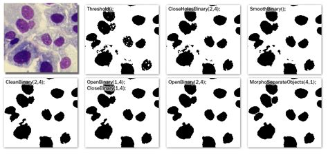Binary Layers Nis Elements