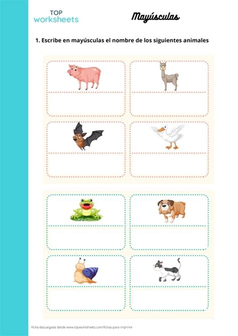 Escribe Las Mayúsculas Ficha Para Imprimir Topworksheets