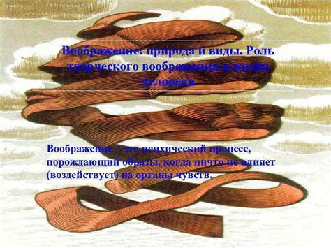 Воображение природа и виды Роль творческого воображения в