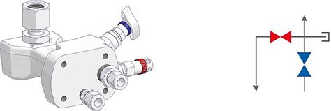 AS Schneider 2 Valve Manifolds G Type