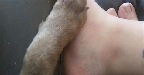 Dumpiest Dumps Album On Imgur