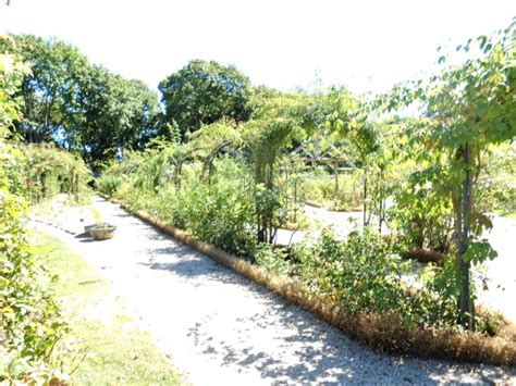 La Roseraie du Val de Marne L Haÿ les Roses 2021 Ce qu il faut