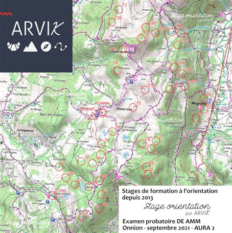Cartes De L Examen Probatoire Du DE AMM AURA 2021 Et Analyse Stage