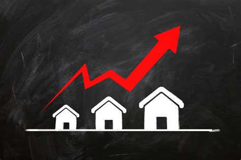 我国今年上半年新增旅游企业近23万家 执惠
