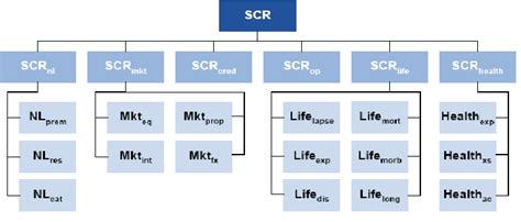 Calculation Of Solvency Capital Download Scientific Diagram