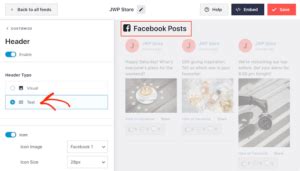 How To Display Your Facebook Timeline In WordPress