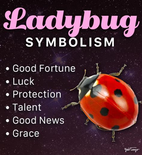 What It Means If You Dream Of Or See A Ladybug Yourtango