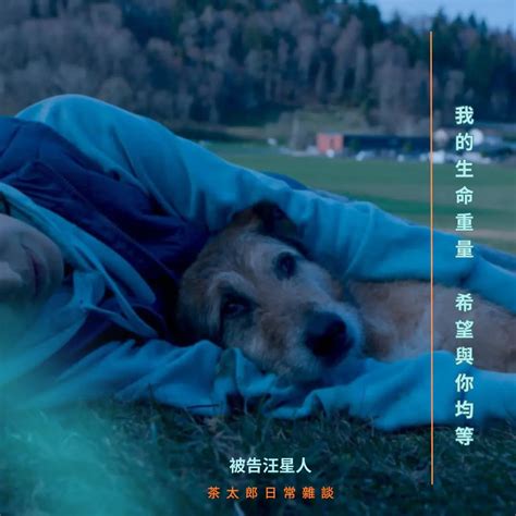 4月份第1週 新片影評（1） 有病才會喜歡你 叛逃公主歷險記 被告汪星人 電影板 Dcard