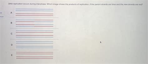 Solved Dna Replication Occurs During Interphase Which Image