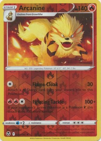 Arcanine Pokemon TrollAndToad