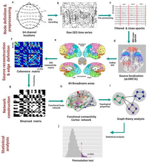 Modeling Brain Functional Connectivity Patterns During An Isometric Arm Force Exertion Task At