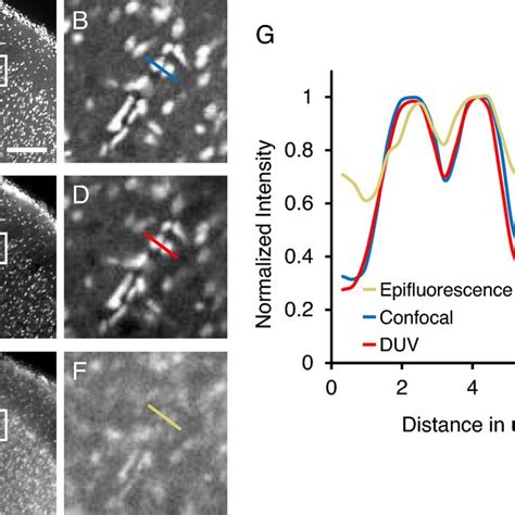 Overview Of The 3d Duv Microscope A A Photo Of The Entire Microscope Download Scientific